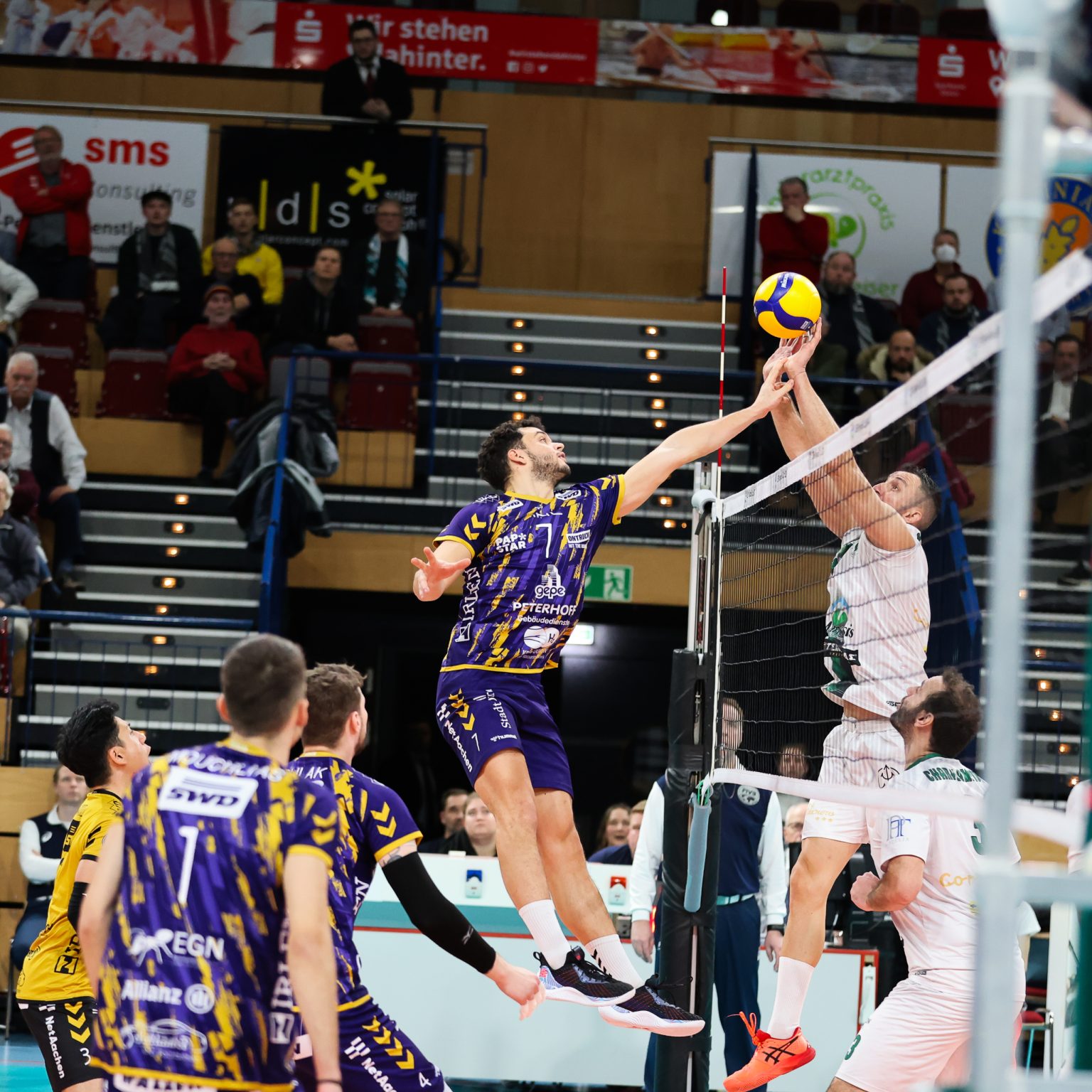 SWD powervolleys Düren: Niederlage im CEV-Pokal » DN-News