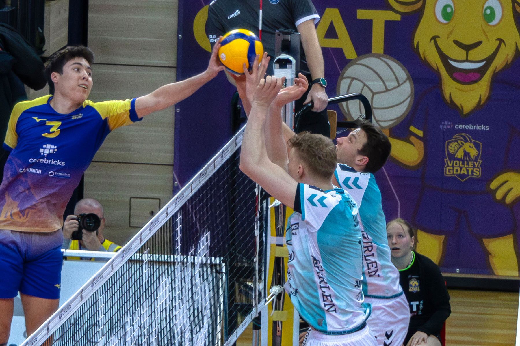 SWD powervolleys Düren: Glattes 3:0 in Mitteldeutschland » DN-News